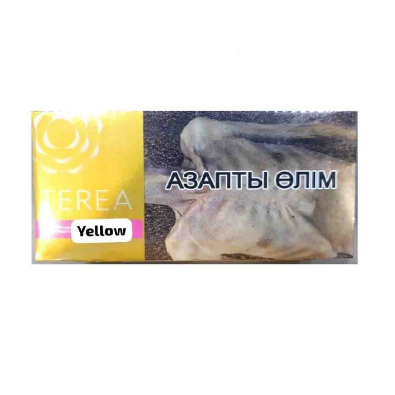 Terea Turquoise Kazakhstan - IQOS